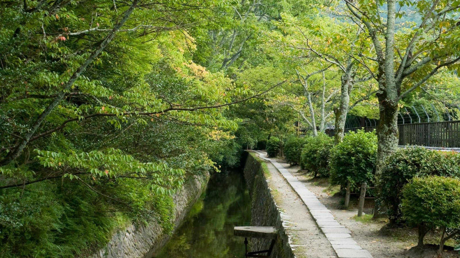 PHILOSOPHER'S PATH, KYOTO - YOTRIPP TRAVEL